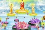 Amitabha Pure Land Rebirth mantra: Meaning and Benefits