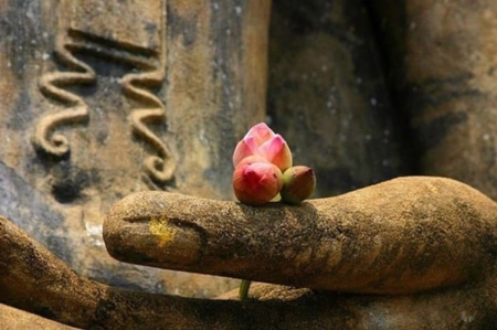 The Meaning of Non-Self in Buddhism - LotusBuddhas