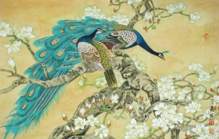 How to Use Peacock Symbol in Feng Shui - LotusBuddhas
