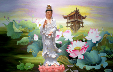 The Meaning of Lotus Flower in Buddhism - LotusBuddhas