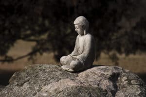 The Meaning of Right Concentration in Buddhism