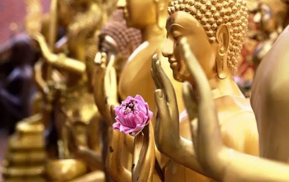 What is Upekkha in Buddhism? Meaning and Benefits
