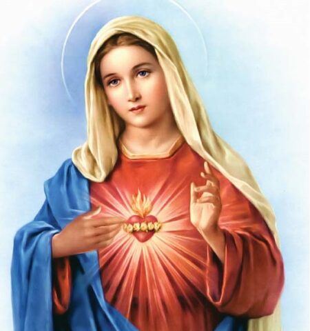 Virgin Mary: Her Life, Virginity, and Her Apparitions